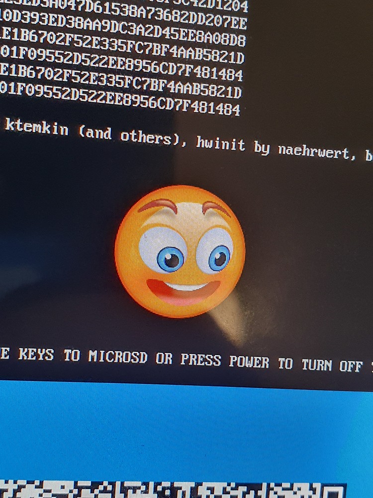 Switch freezes after Nintendo Logo and crashes EVEN WITH LINUX - #14 by ...
