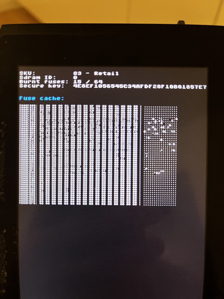 V1 with Blue Screen, takes payload but doesn’t boot Hekate - Nintendo ...